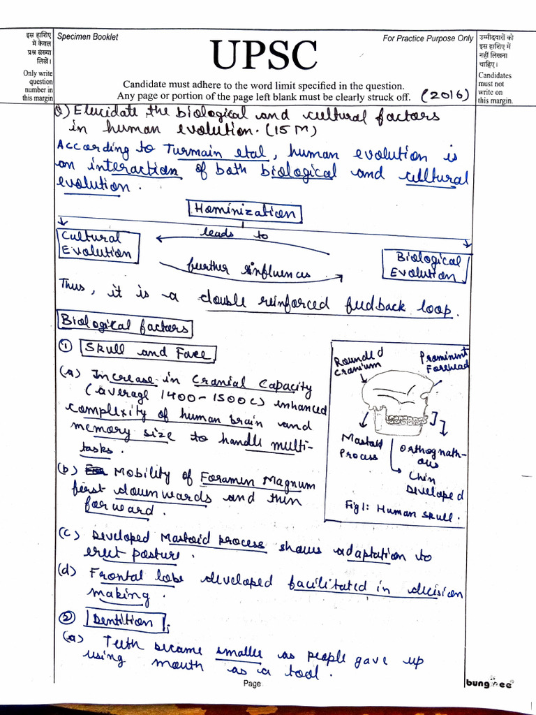 Human Evolution Factors (2016) | PDF