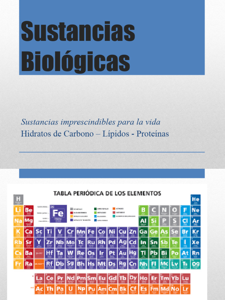 Sustancias Biológicas: Funciones y Tipos | PDF | Carbohidratos ...