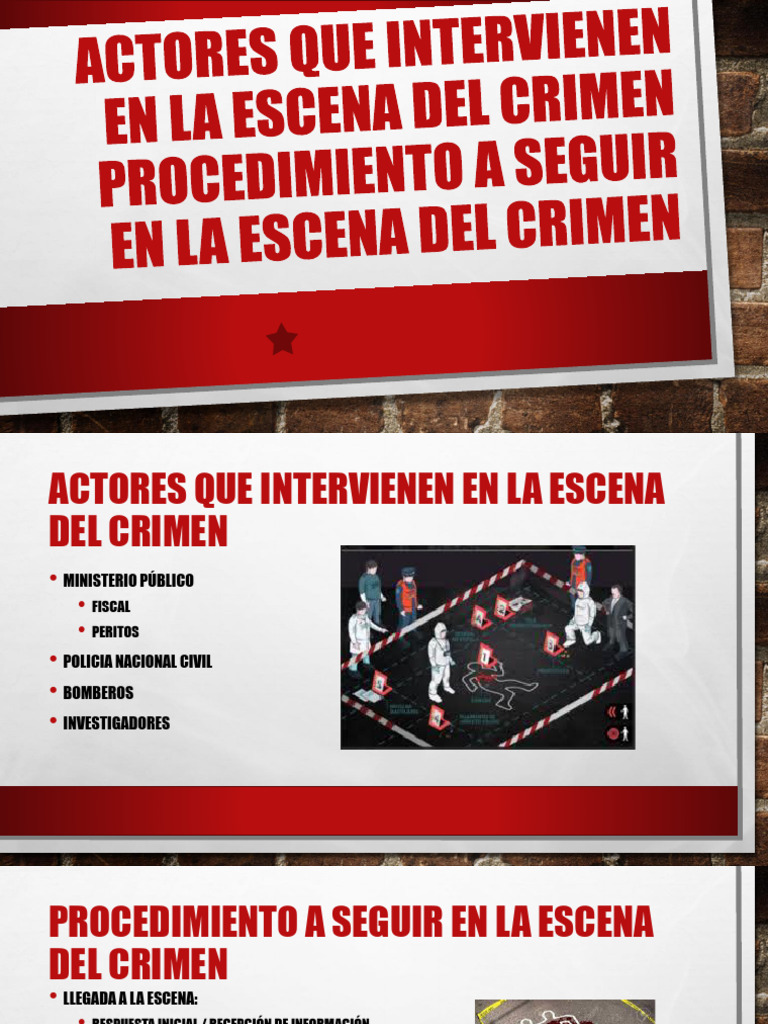 Procedimiento en la Escena del Crimen | PDF