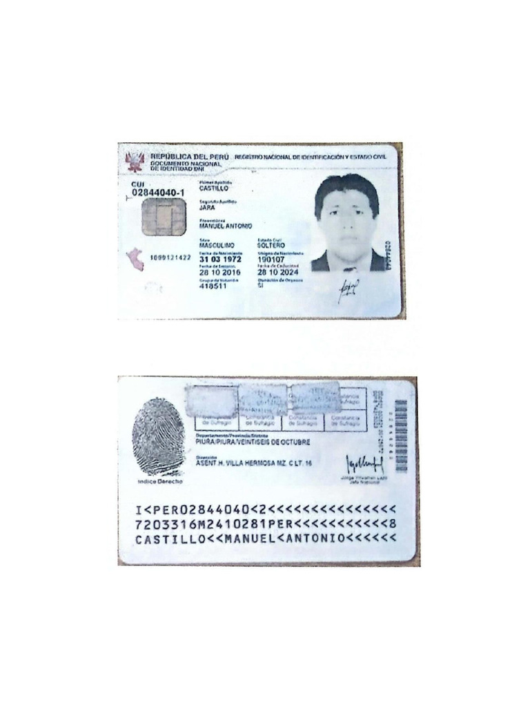 Manuel Castillo Jara | PDF