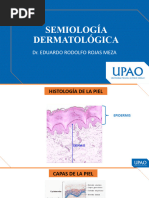 Dermatologia Informe de Escama y Costra 1 | PDF | Piel | Enfermedades y ...