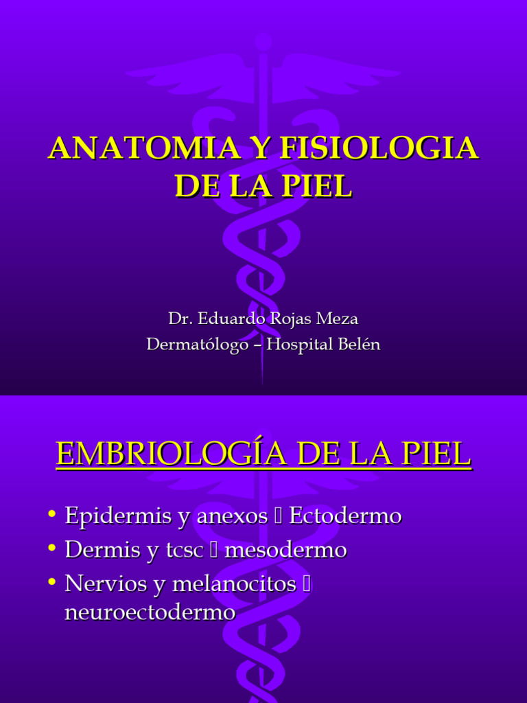 2.ANATOMIA Y FISIOLOGIA DE LA PIEL (TEMA 2) .Pps | PDF | Epidermis | Piel