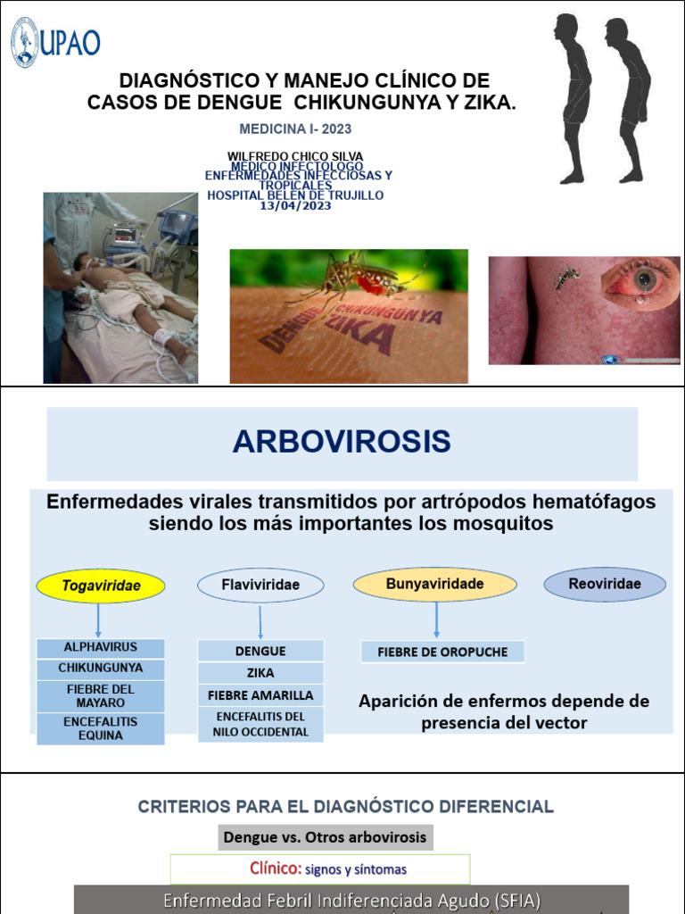 Tema 7 - 2023 - PPT Dengue, Zika, Chikv | PDF | Ciencias de la Salud ...