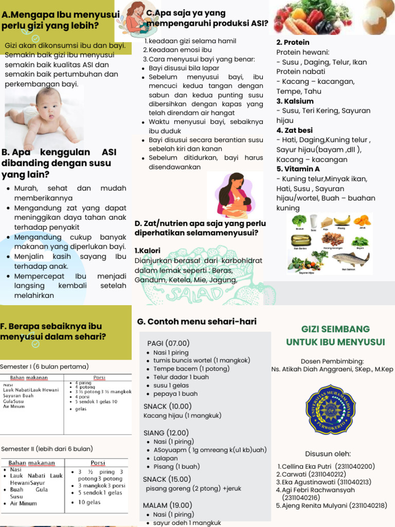 Leaflet Gizi Ibu Menyusui | PDF
