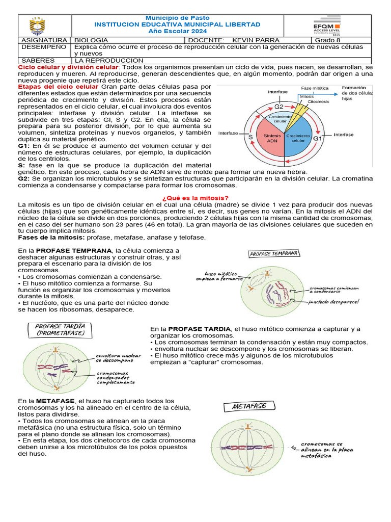 Guia Mitosis y Meiosis | PDF | Mitosis | Mitosis