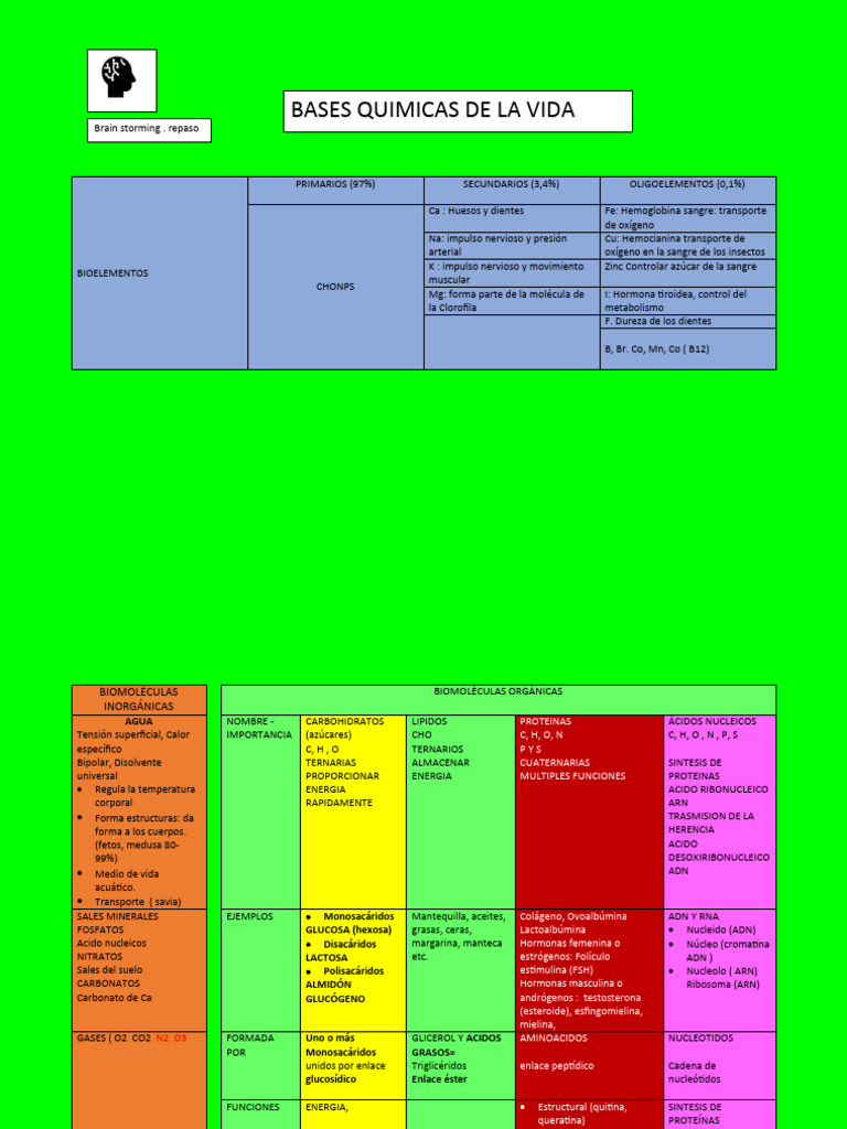 03 CLASES 02 Brain Storming FINAL BASES QUIMICAS DE LA VIDA | PDF | Biomoléculas | Carbohidratos
