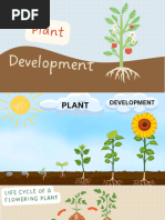 Plant Growth and Development Overview | PDF | Seed | Root