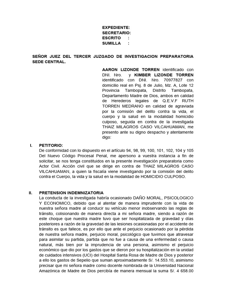 Constitucion en Actor Civil Caso Torren Medrano | PDF | Daños y perjuicios