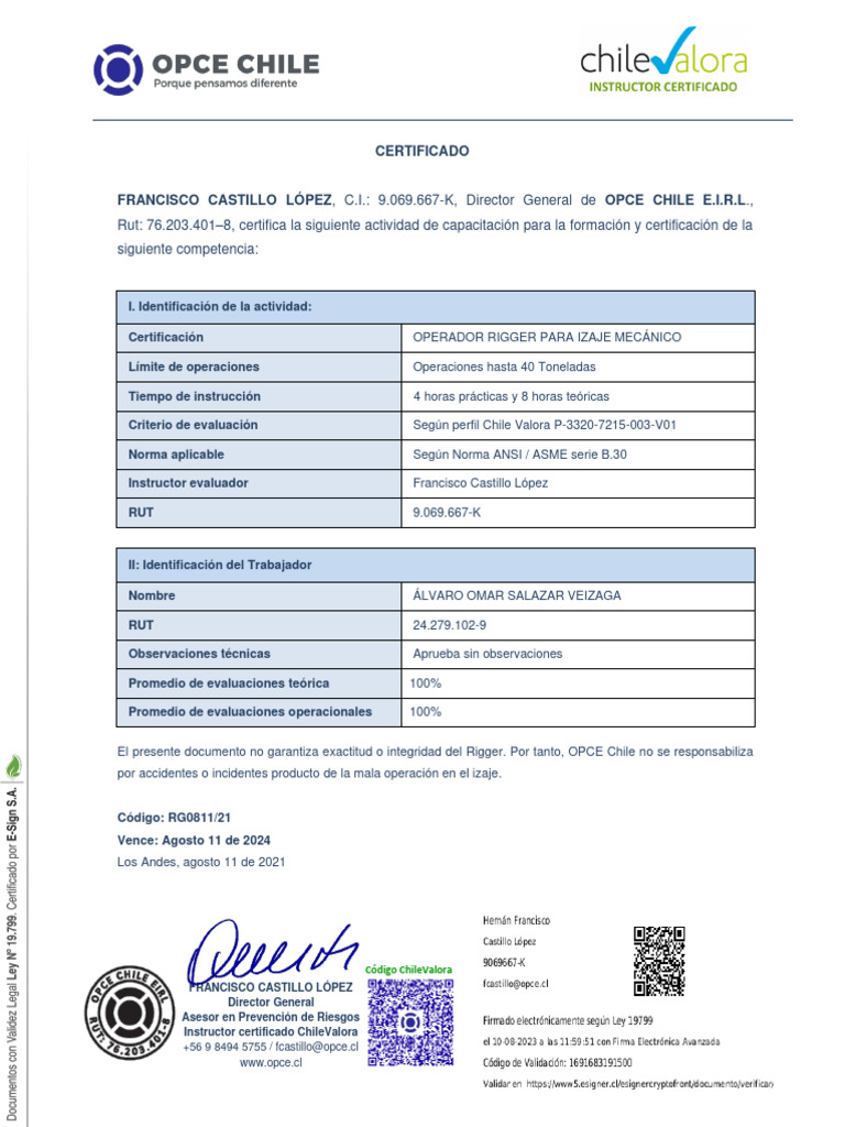 Rigger 1 | PDF | Negocios | Tecnología