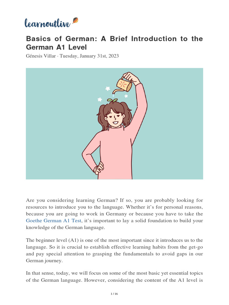Basics of German A Brief Introduction To The German A1 Level | PDF | Grammatical Gender | Noun