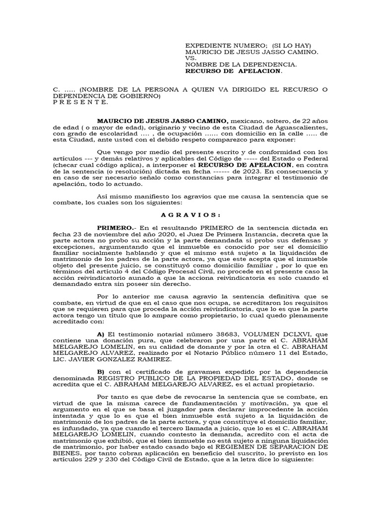 Apelacion - Mauricio Jasso - Tarea | PDF | Apelación | Sentencia (ley)