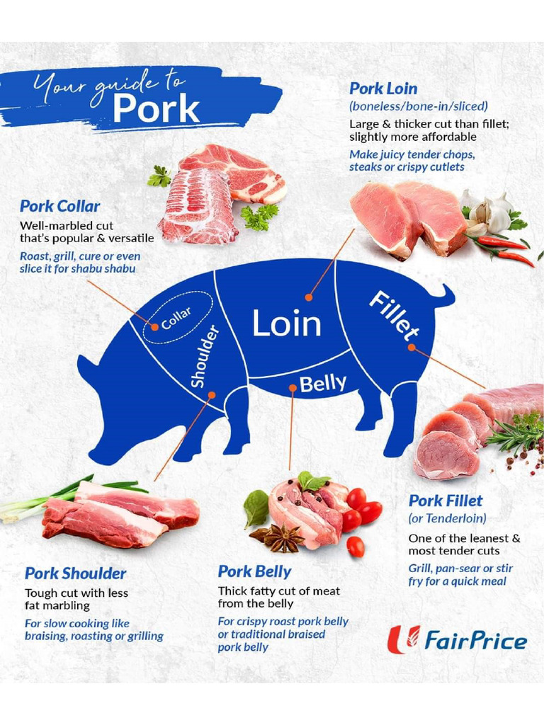 Your Guide To Pork | PDF