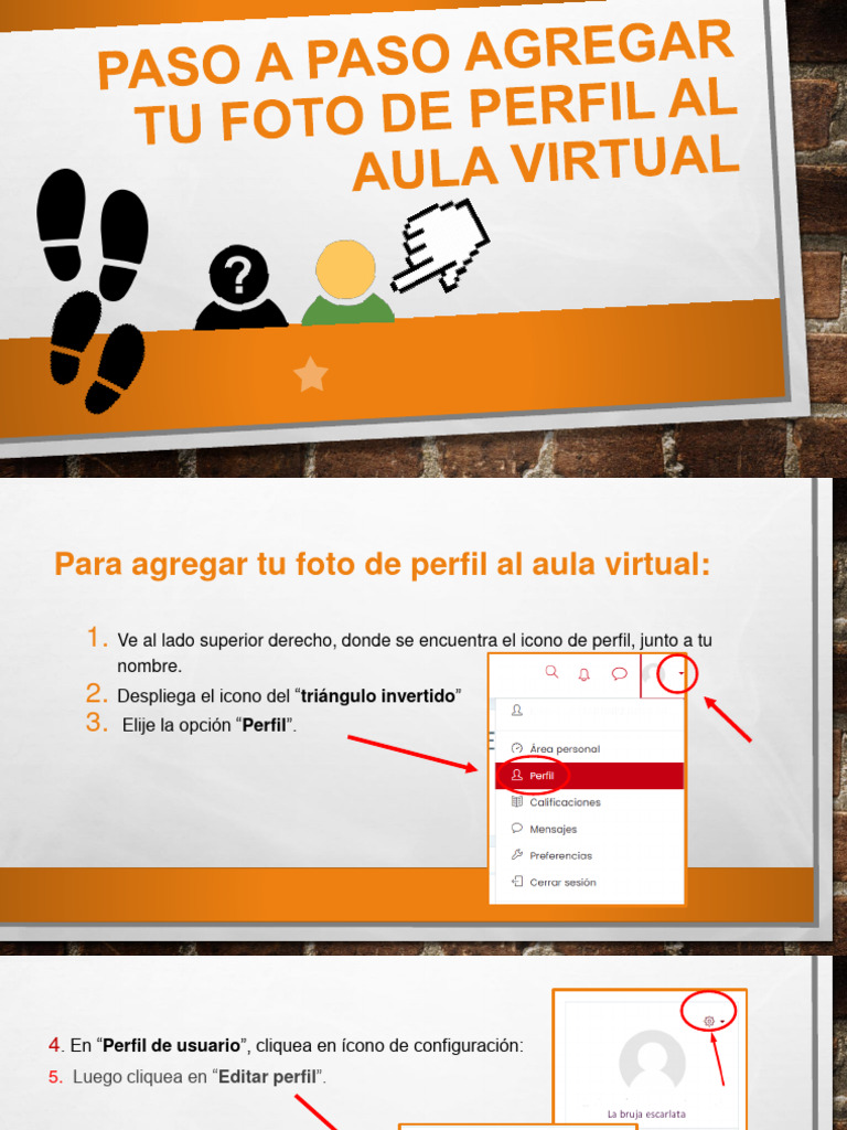 Cómo agregar foto de perfil en aula virtual | PDF | Ciencias sociales