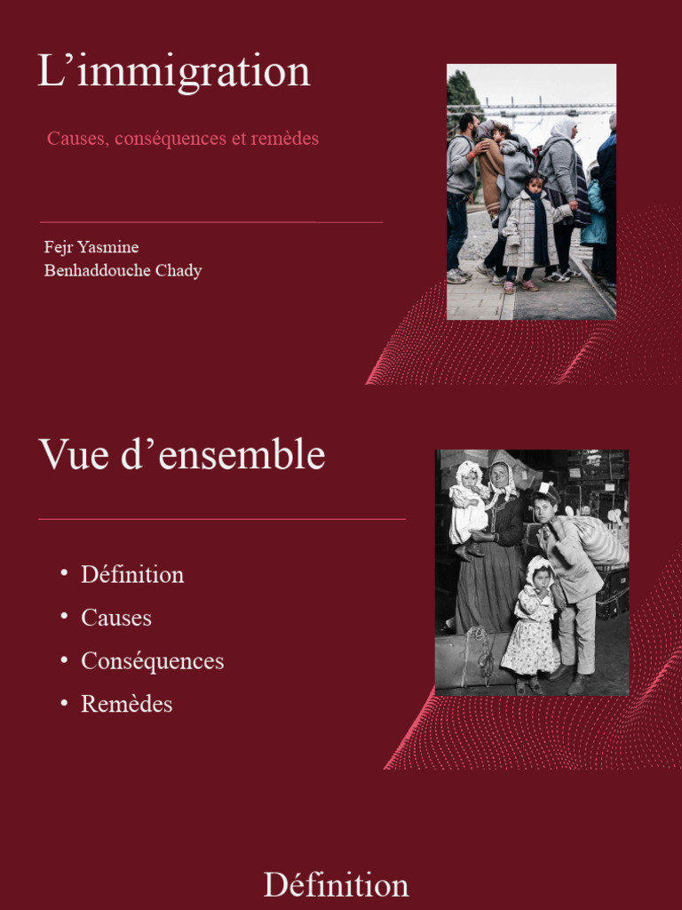 L'Immigration | PDF | Sciences sociales