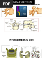 Understanding SIJ: Form and Force Closure | PDF | Pelvis | Vertebral Column