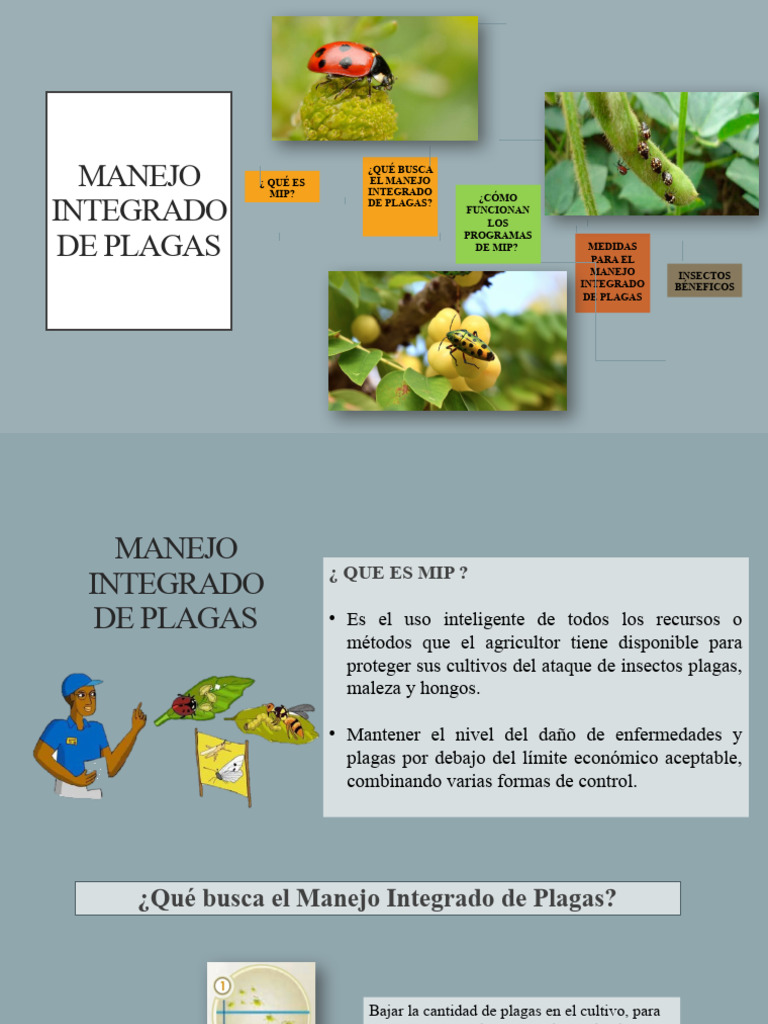 Manejo Integrado de Plagas | Descargar gratis PDF | Control biológico de plagas | Plaga (organismo)