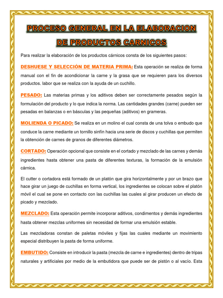 Micro Industrial 2024 | PDF | Carne