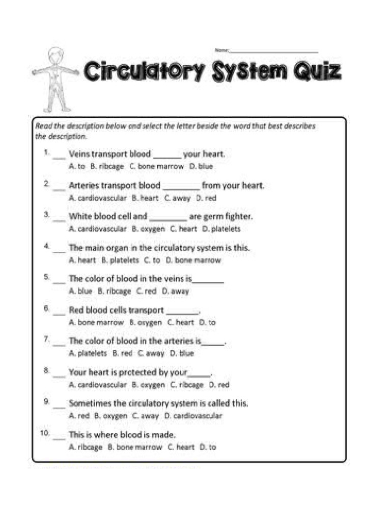Grade 6 Circulatory System | PDF