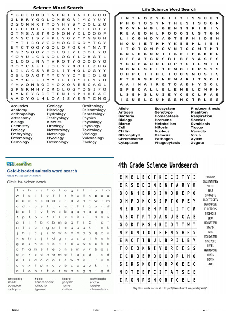 Science and Math Word Search | PDF