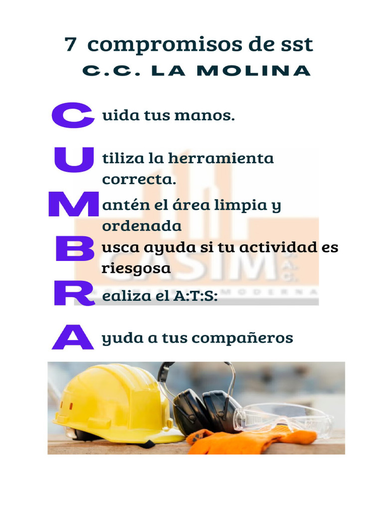7 Compromisos | PDF