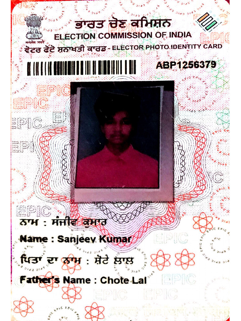 Vote Card | PDF