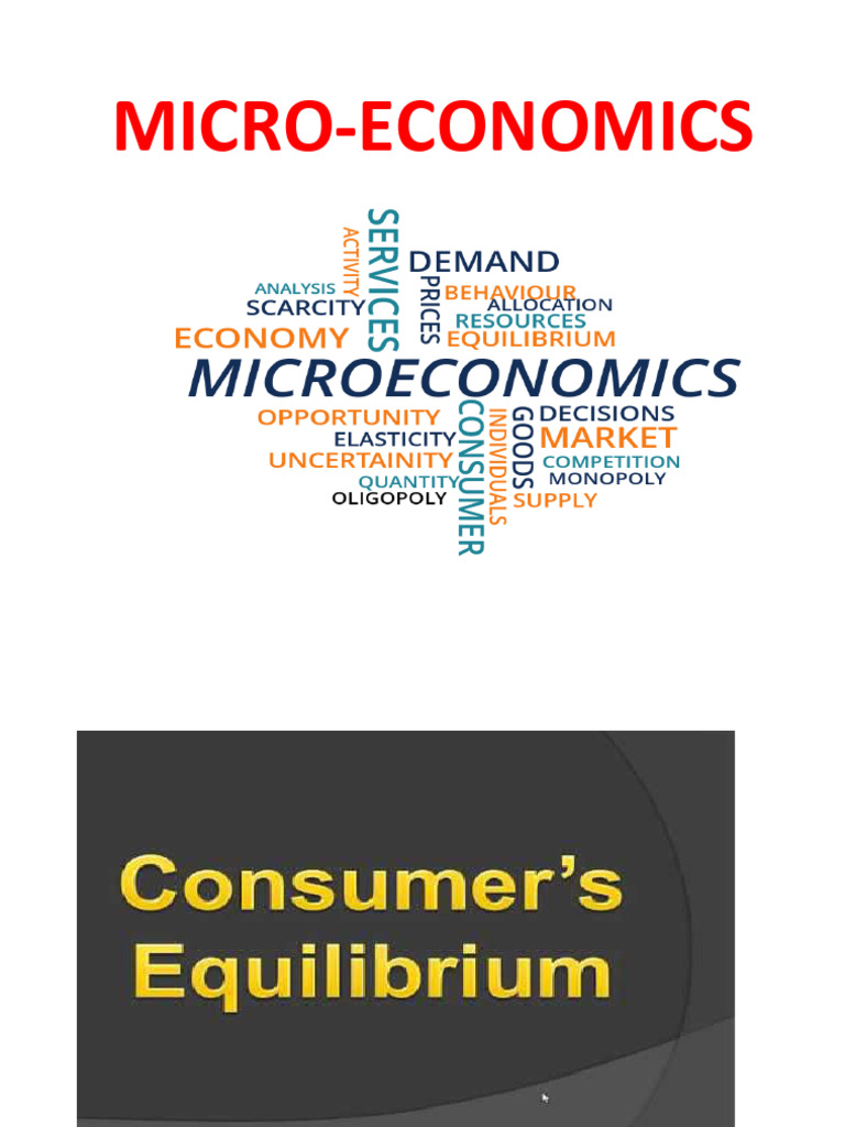 Sk Ppt of Consumer (3) | PDF | Utility | Economic Theories