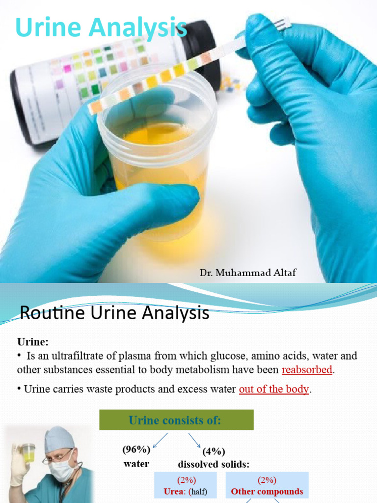 Urinalysis | Download Free PDF | Urine | Clinical Medicine