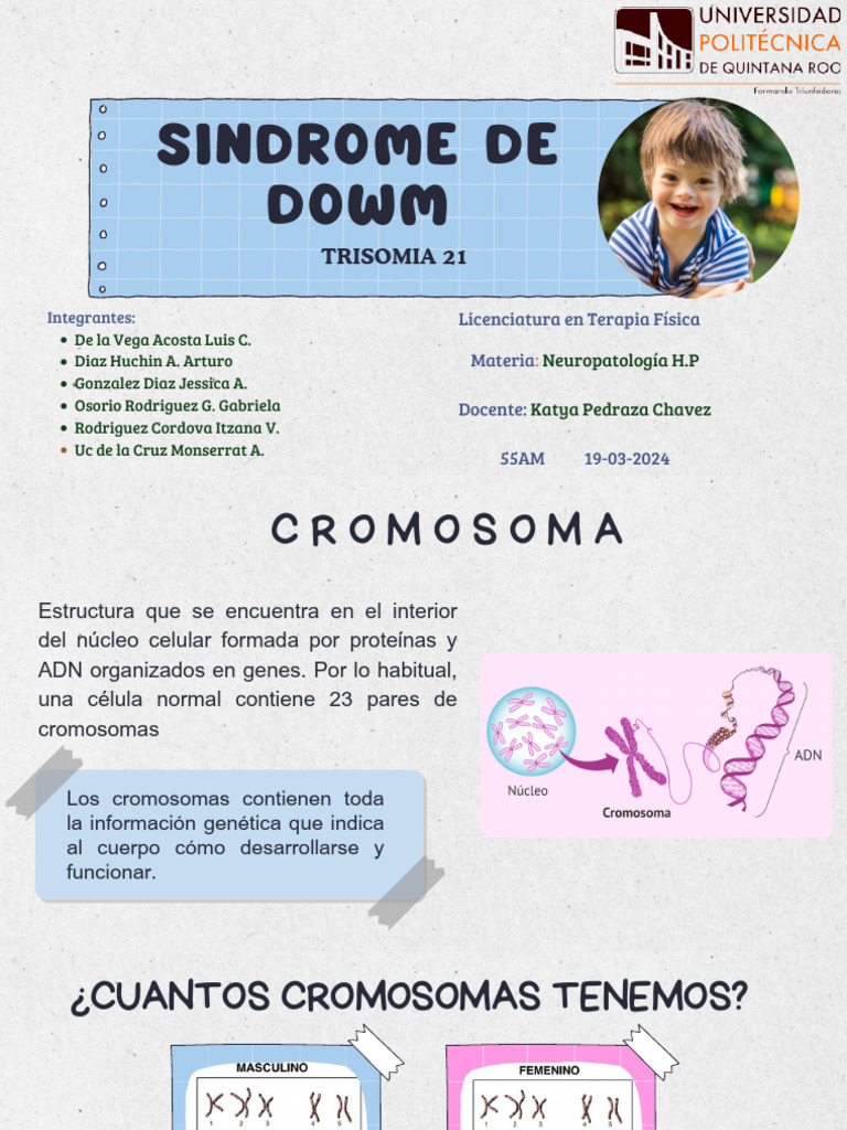 Trisomia 21 | PDF | Síndrome de Down | Cromosoma