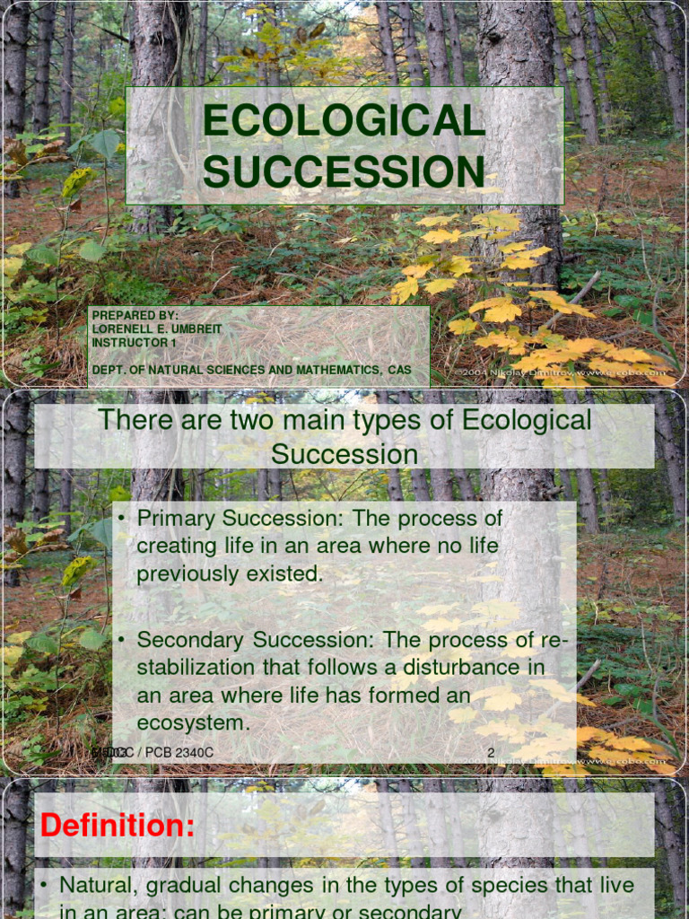 Scie 102 Envi Sci Midterm Week 7 | PDF | Soil | Forests