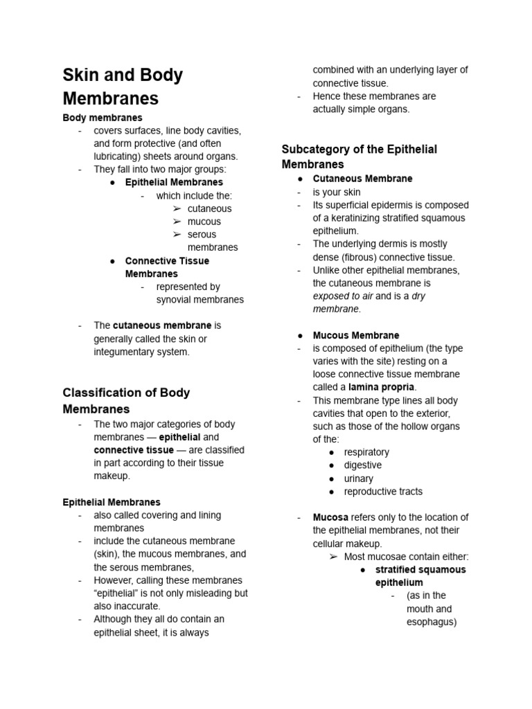 LESSON 1 - THE INTEGUMENTARY SYSTEM - Chapter 4 | PDF | Skin | Epithelium