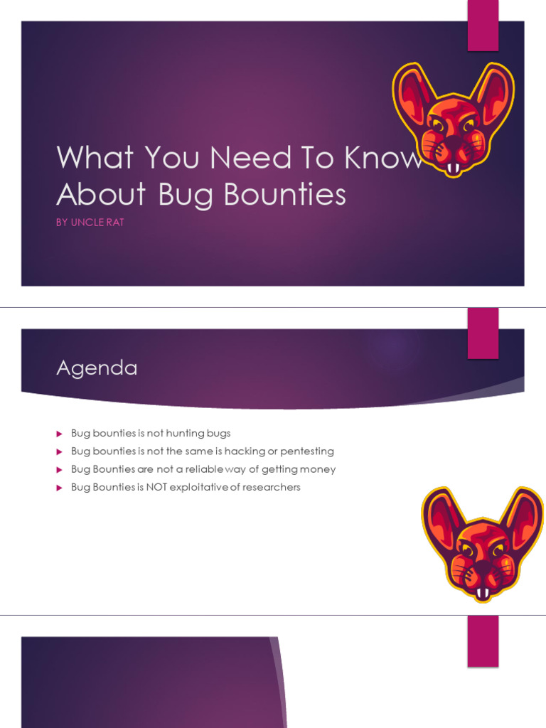 What You Need To Know About Bug Bounties | PDF