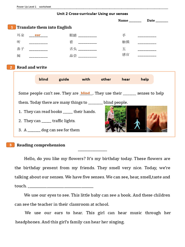 PU1-U2 跨学科 | PDF | Senses | Neuroscience