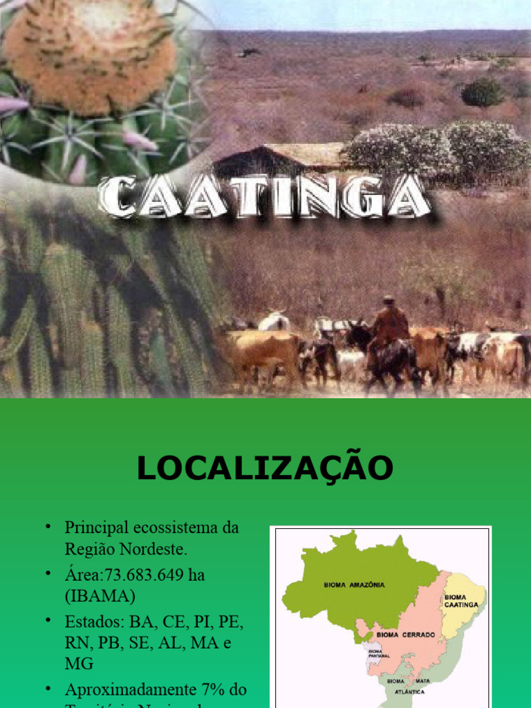 Caatinga | PDF | Deserto | Solo