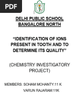 Toothpaste Ion Analysis Project | PDF | Ion | Salt (Chemistry)