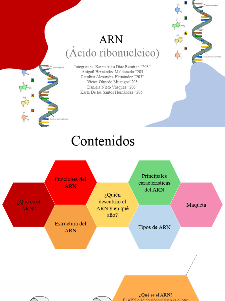ácido Ribonucleico Pdf Rna Adn