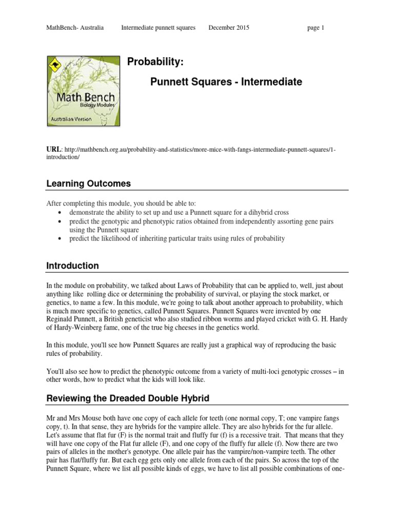 Probability Punnett-Squares-Intermediate Printer Friendly | PDF | Genotype | Dominance (Genetics)