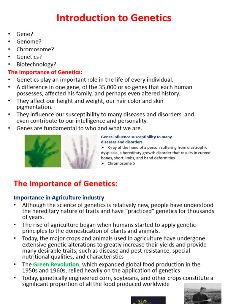 Basic of Genetics | PDF | Genetics | Gene