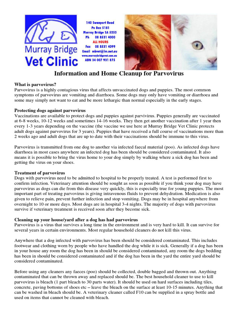 Parvovirus need to know | PDF | Diseases And Disorders | Animal Diseases