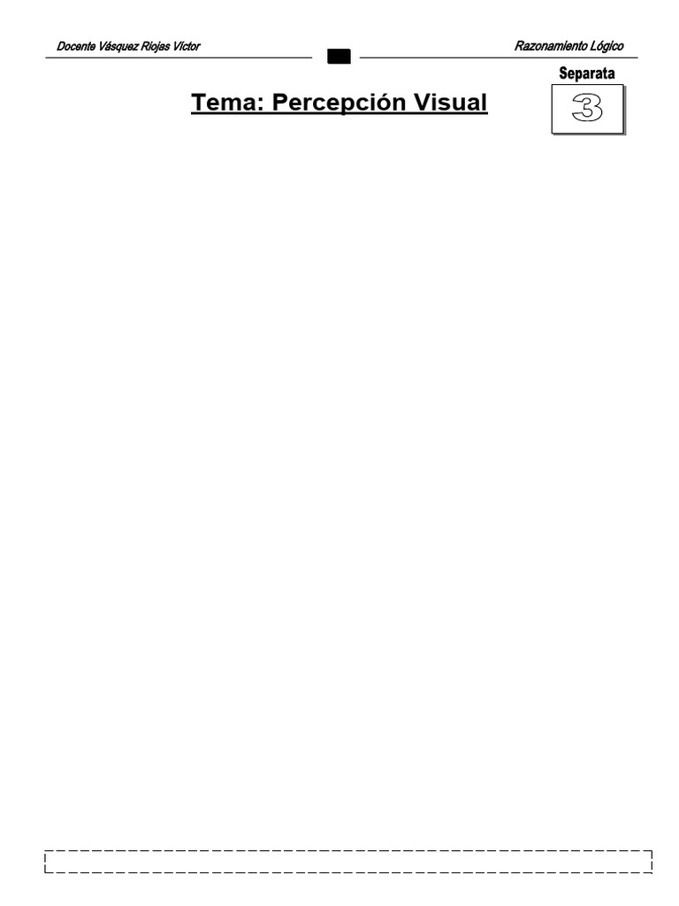Percepcion Visual | PDF