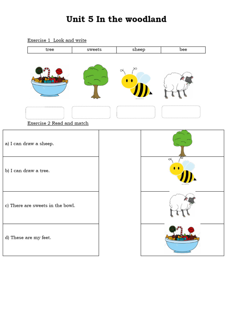 Unit 5 | PDF | Bees