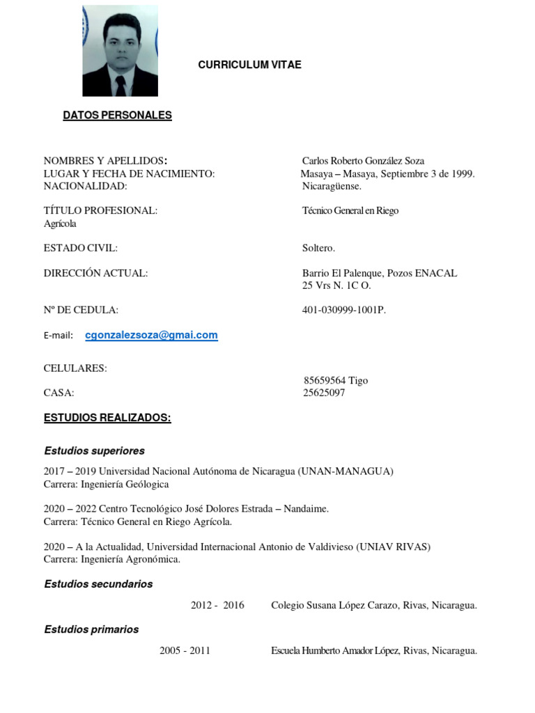 Curriculum Carlos Oficial | PDF