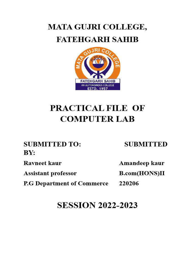 Assignment of Computer Lab | PDF