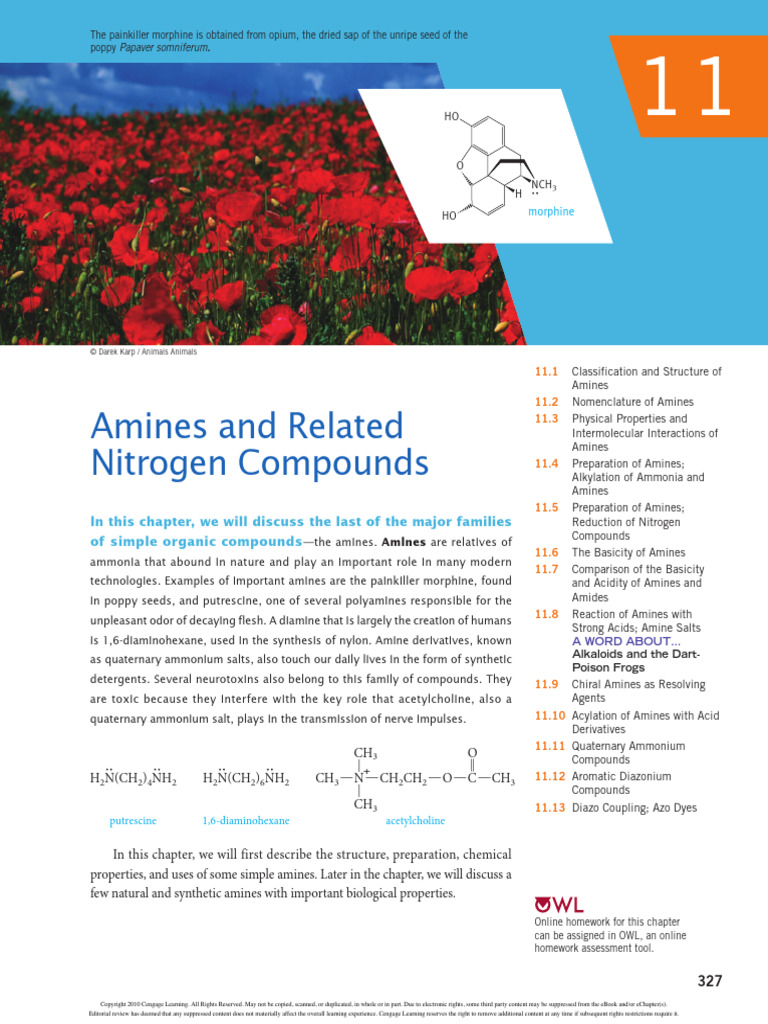 Sach Ly Thuyet 1 - 11 | PDF | Amine | Ammonia