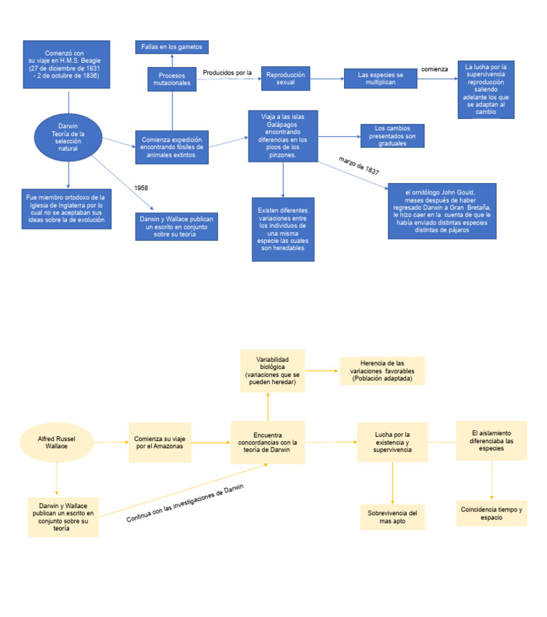 Mapas Conceptuales | PDF | Charles Darwin | Alfred Russel Wallace