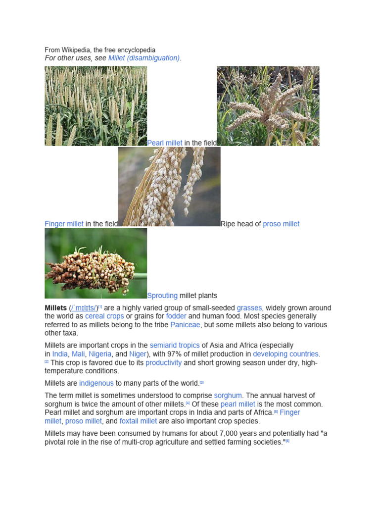 Millets | PDF | Cereals | Crops