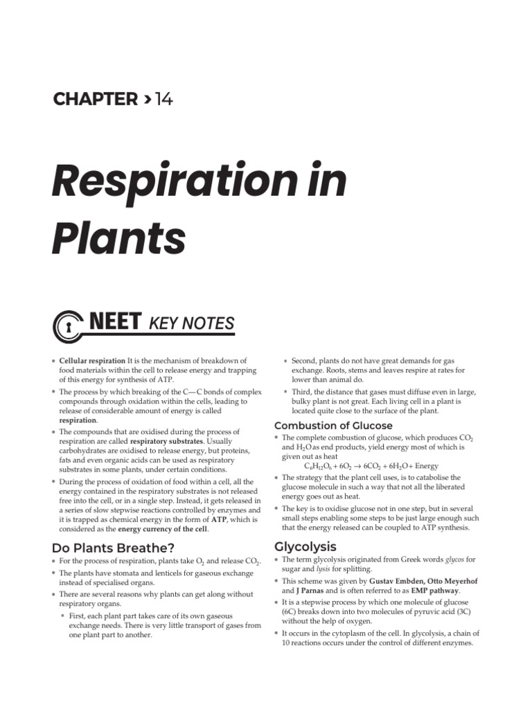 Respiration in plants class 11 | PDF | Cellular Respiration | Glycolysis