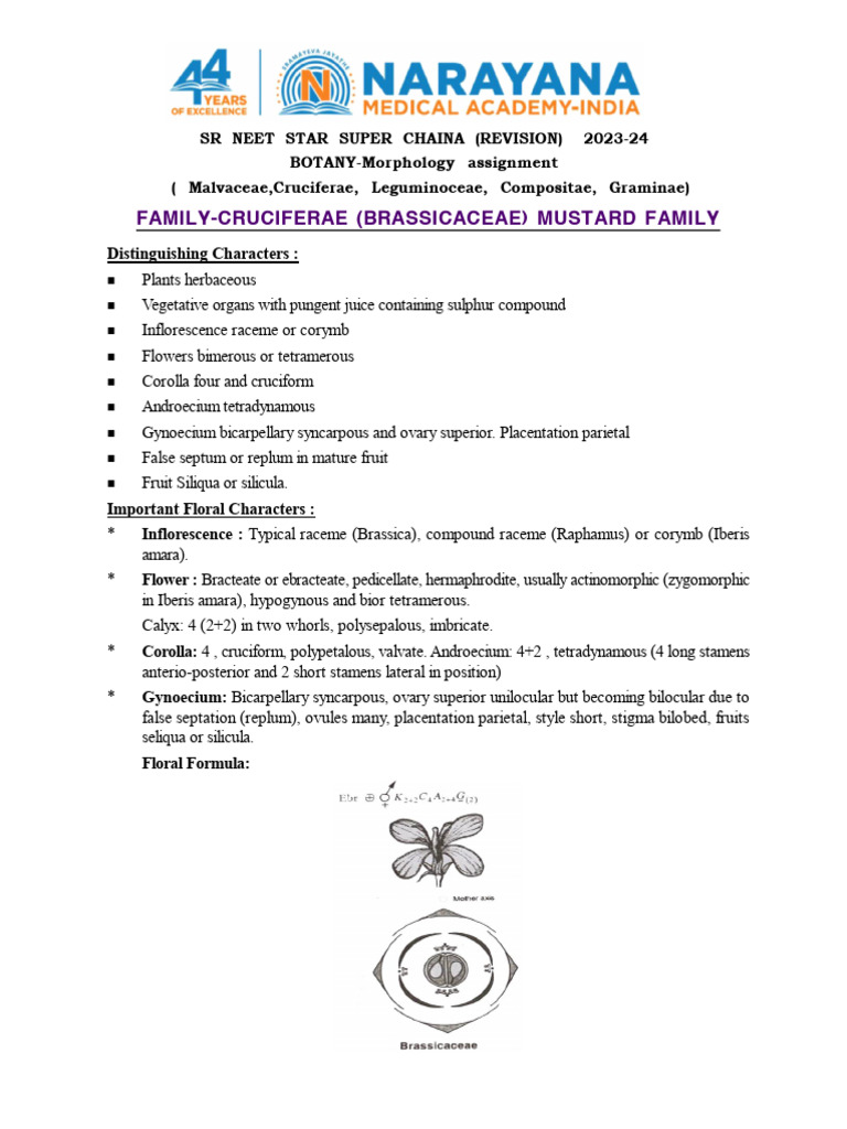Class 11 neet morphology new families | PDF | Flowers | Botany