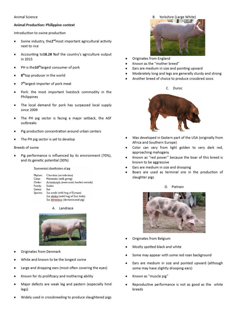 Exam Mid Terms Ani Sci | PDF | Pig | Chicken