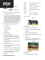 Jamaica Hope: Tropical Dairy Cattle Genetics | PDF