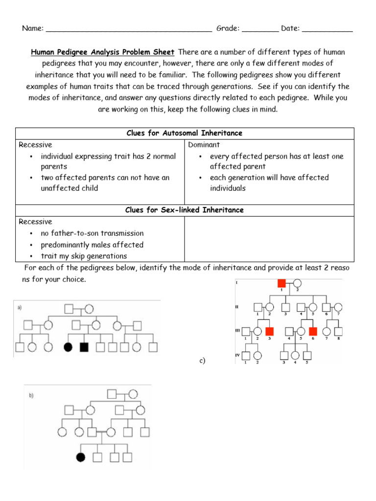 Pedigree Worksheet | Download Free PDF | Genotype | Dominance (Genetics)